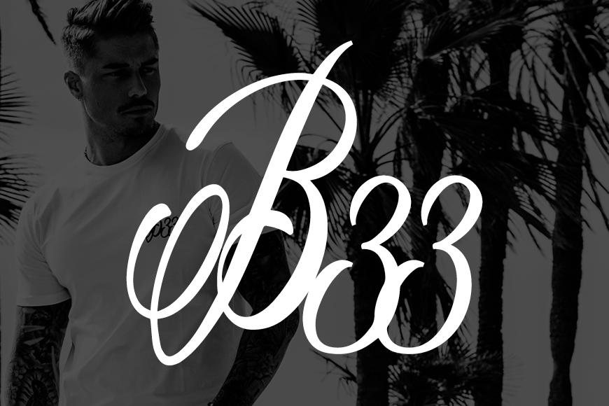 B33 - The Meaning Behind The Logo